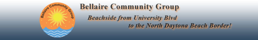 Bellaire Community Group - Vision Statement